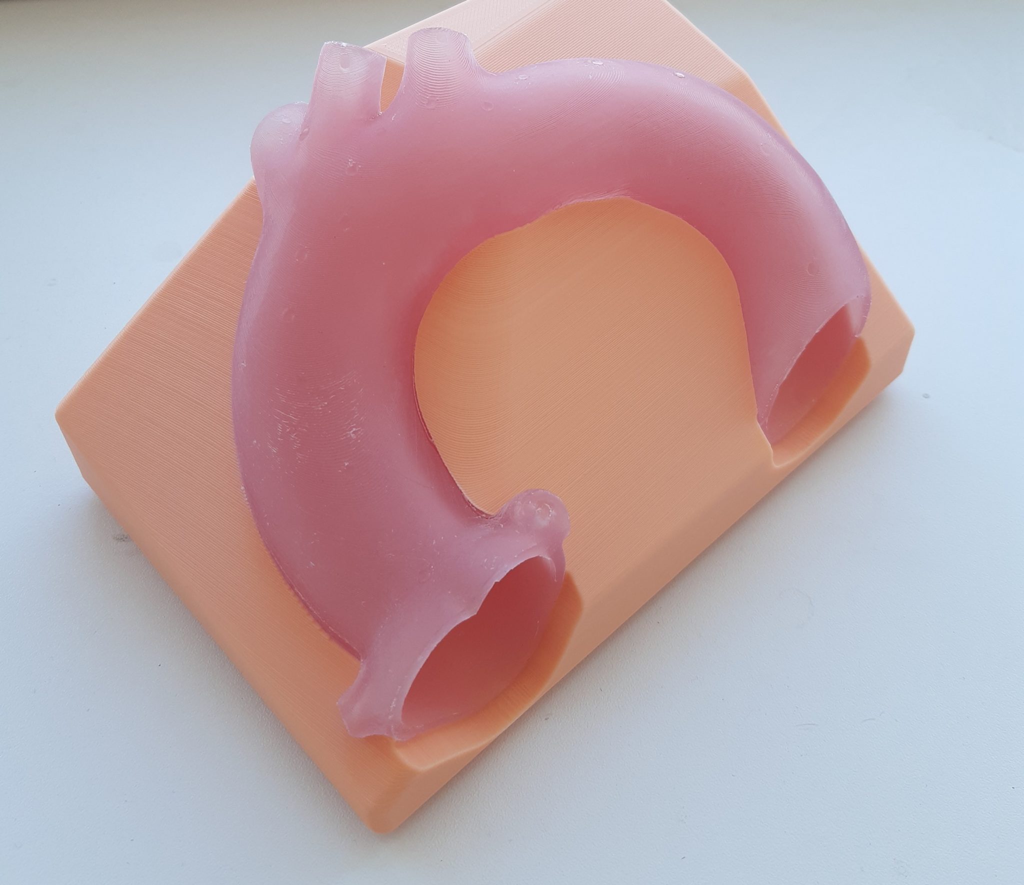 Anatomical aorta model - ACMIT.at