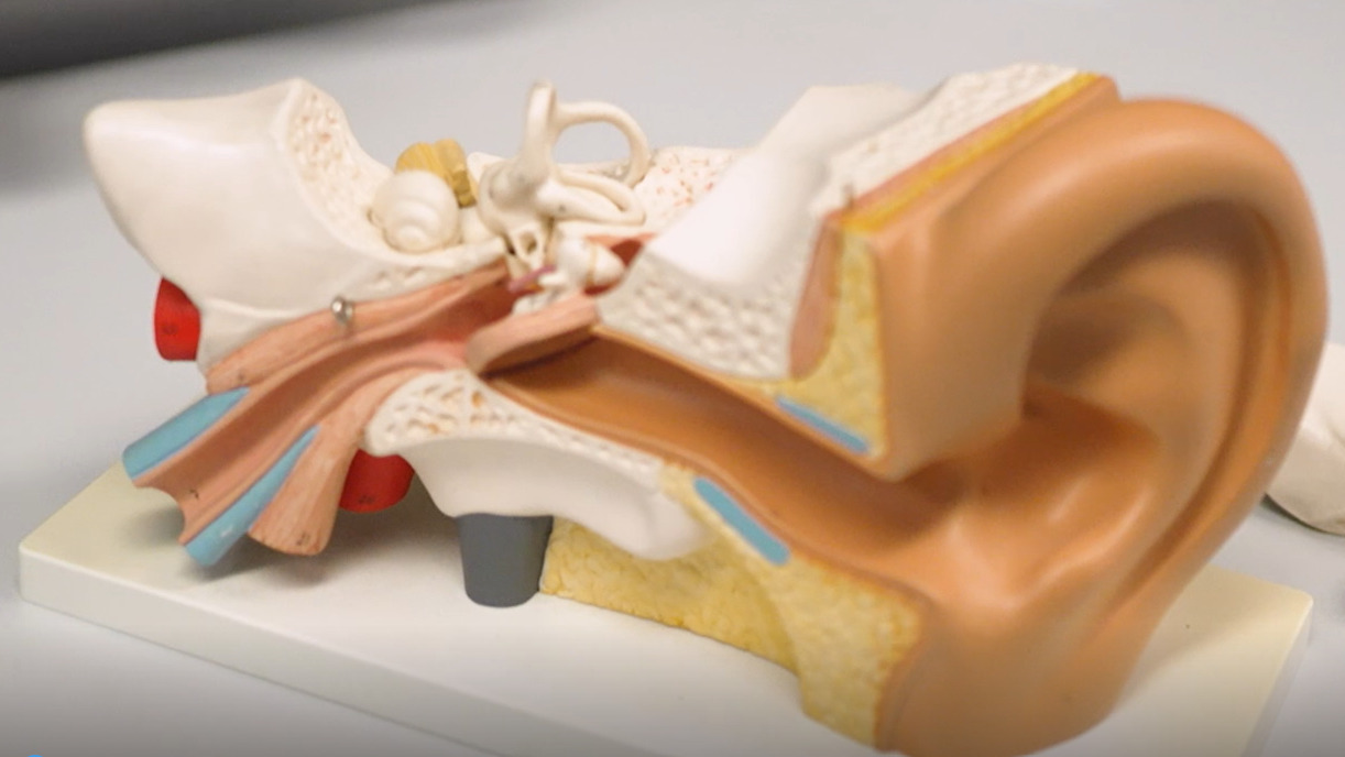 Nomination of ACMIT for the Lower Austria Innovation Award 2022 - ACMIT.at